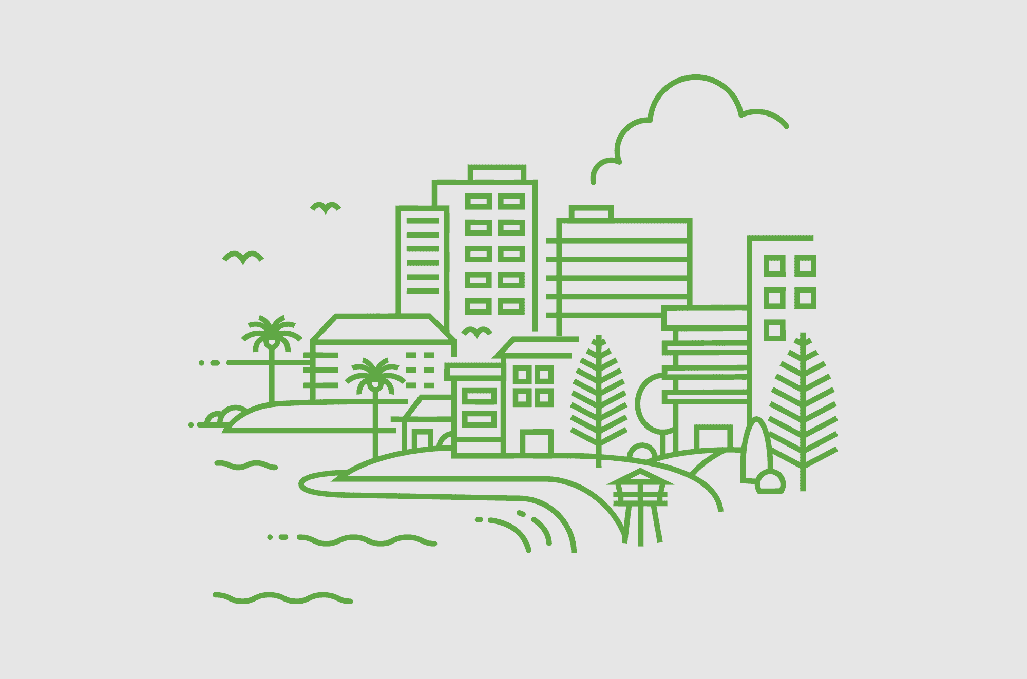 Brisbane Graphic Designer & Illustrator